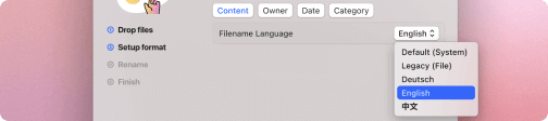 Riffo - AI-driven File Renaming and Management Tool